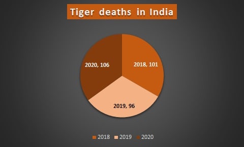 International Tiger Day: India Saw Over 300 Big Cat Deaths Since 2018 ...