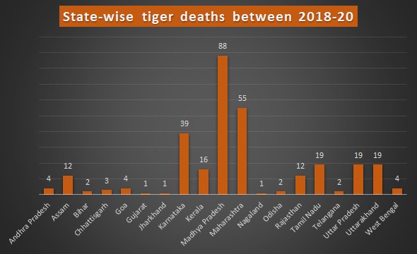 International Tiger Day: India Saw Over 300 Big Cat Deaths Since 2018 ...