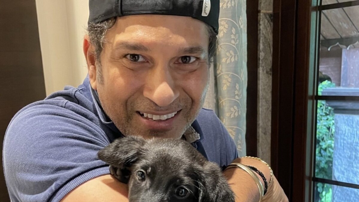 Video: When Sachin Tendulkar Met His Pet Dog - News18