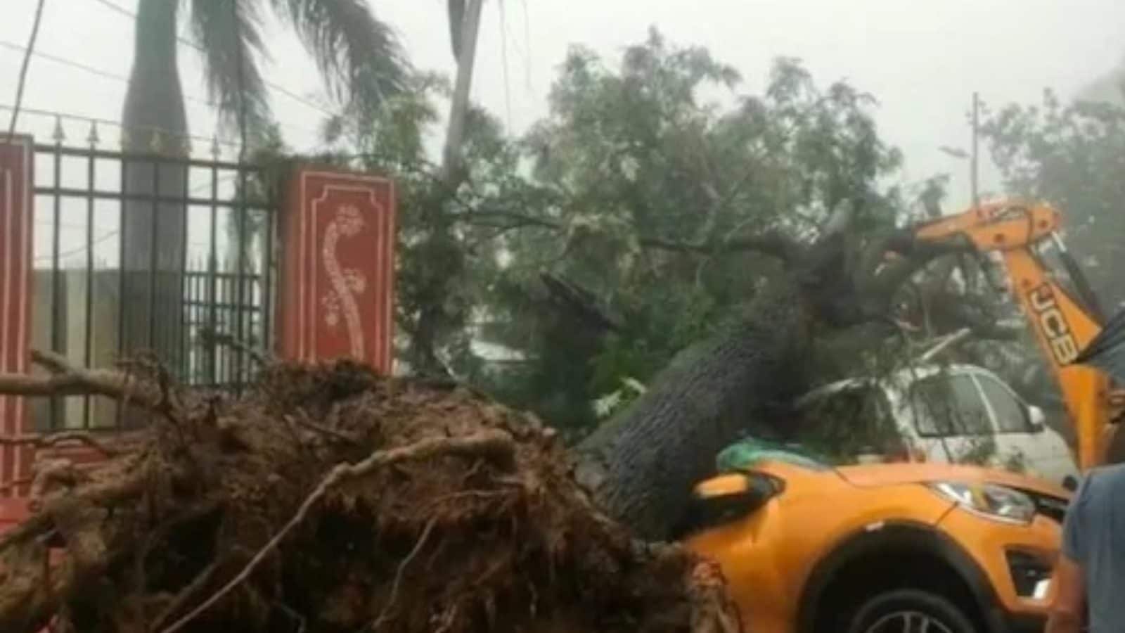 Karauli Receives Record Rainfall As Monsoon Reactivates In Rajasthan