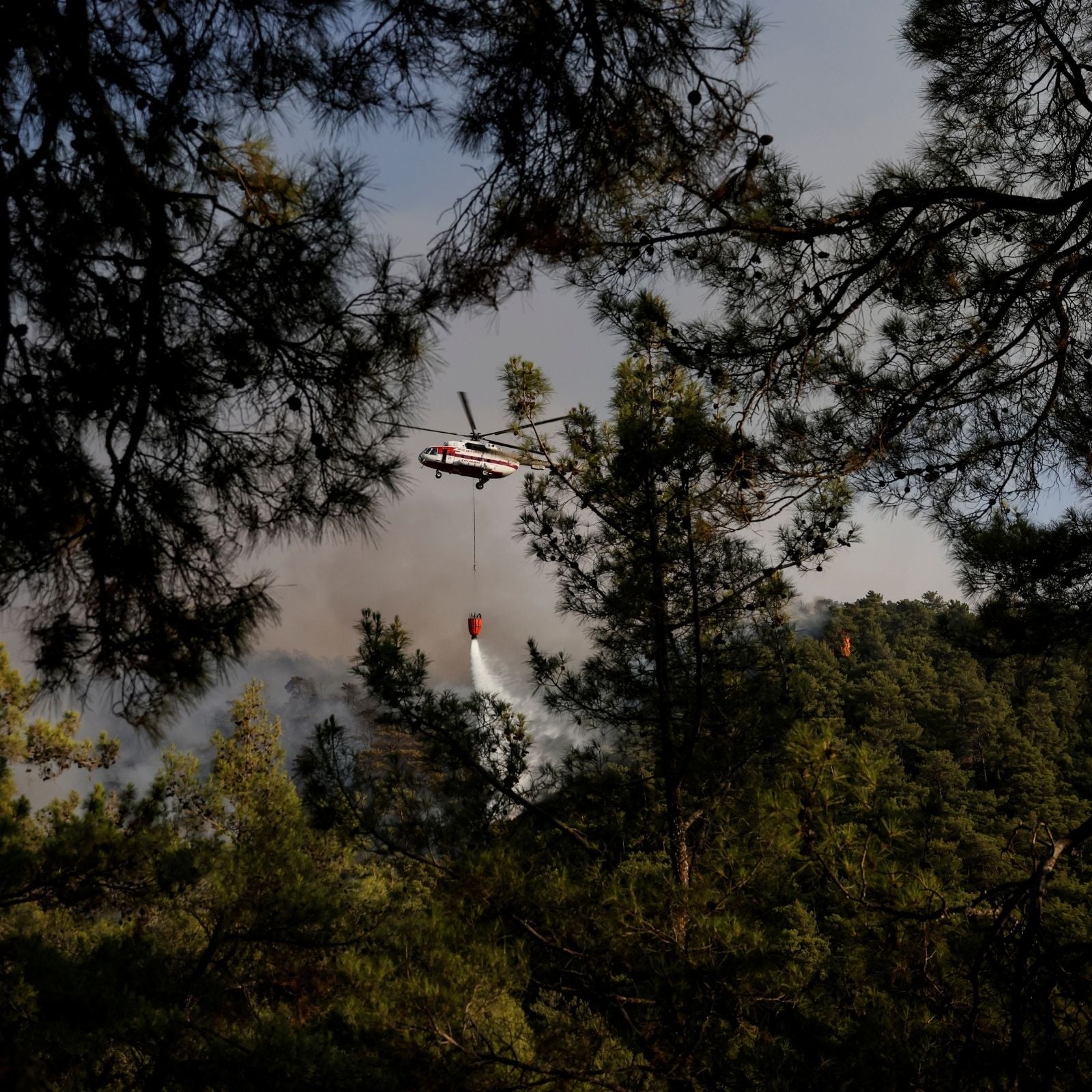 In Photos: Over 70 Wildfires Sweep Turkey, Villages Evacuated as 80 ...