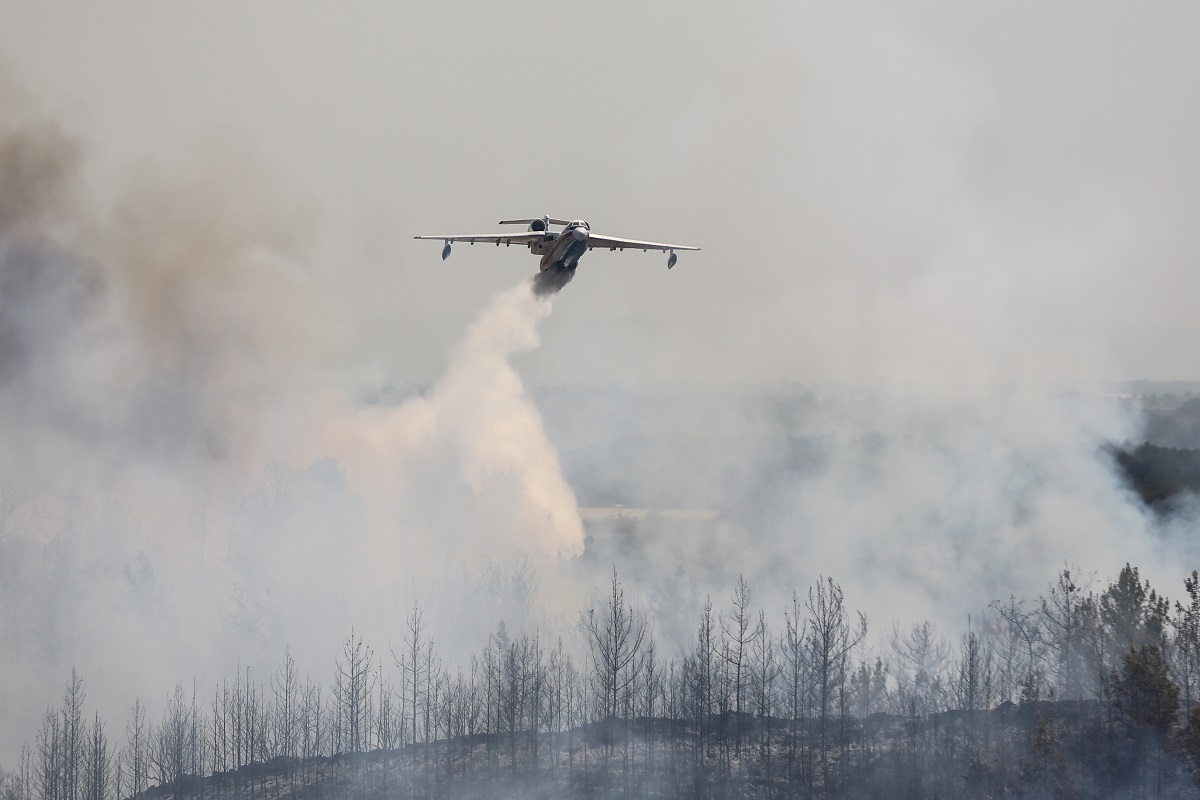 Turkey Wildfires: Thousands Evacuated as Country Battles for Sixth Day ...
