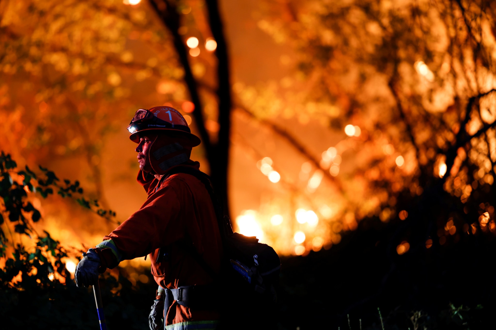 California Wildfire: Flames Engulf US Counties, Smoke Seen from 110 Km ...