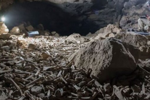 Archaeologists Find 1.5 Km Long Bed of Bones in Saudi Arabian Cave - News18