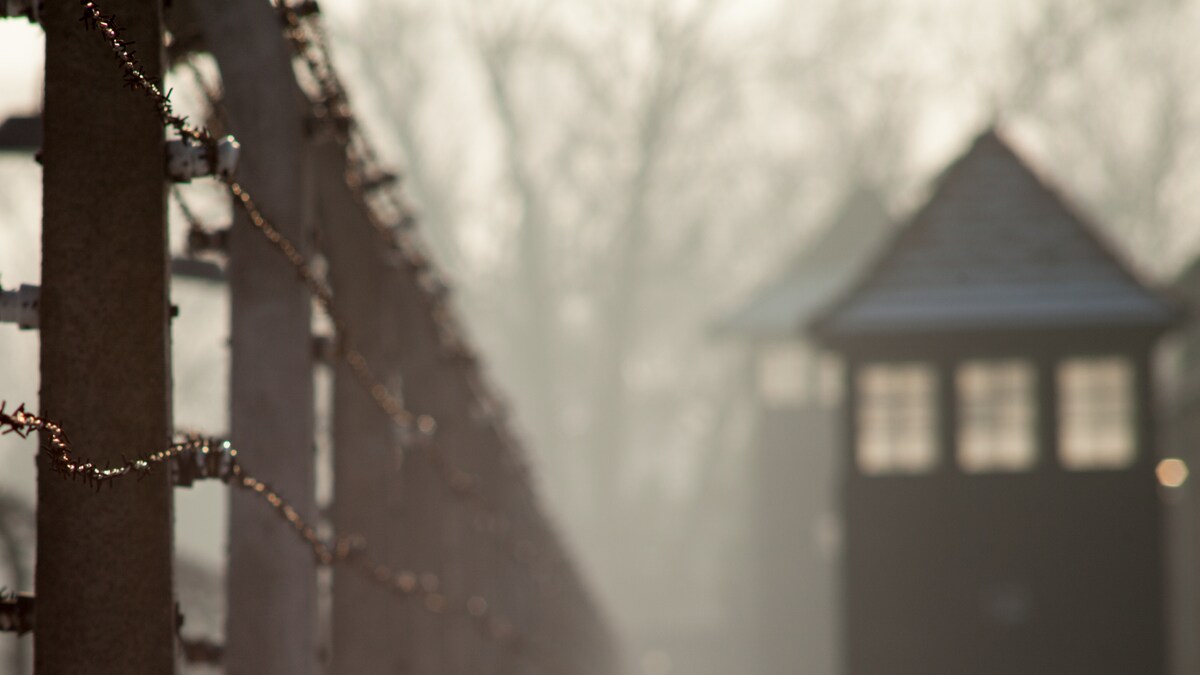 Black Ribbon Day 2021: Know this Day’s History and Significance - News18