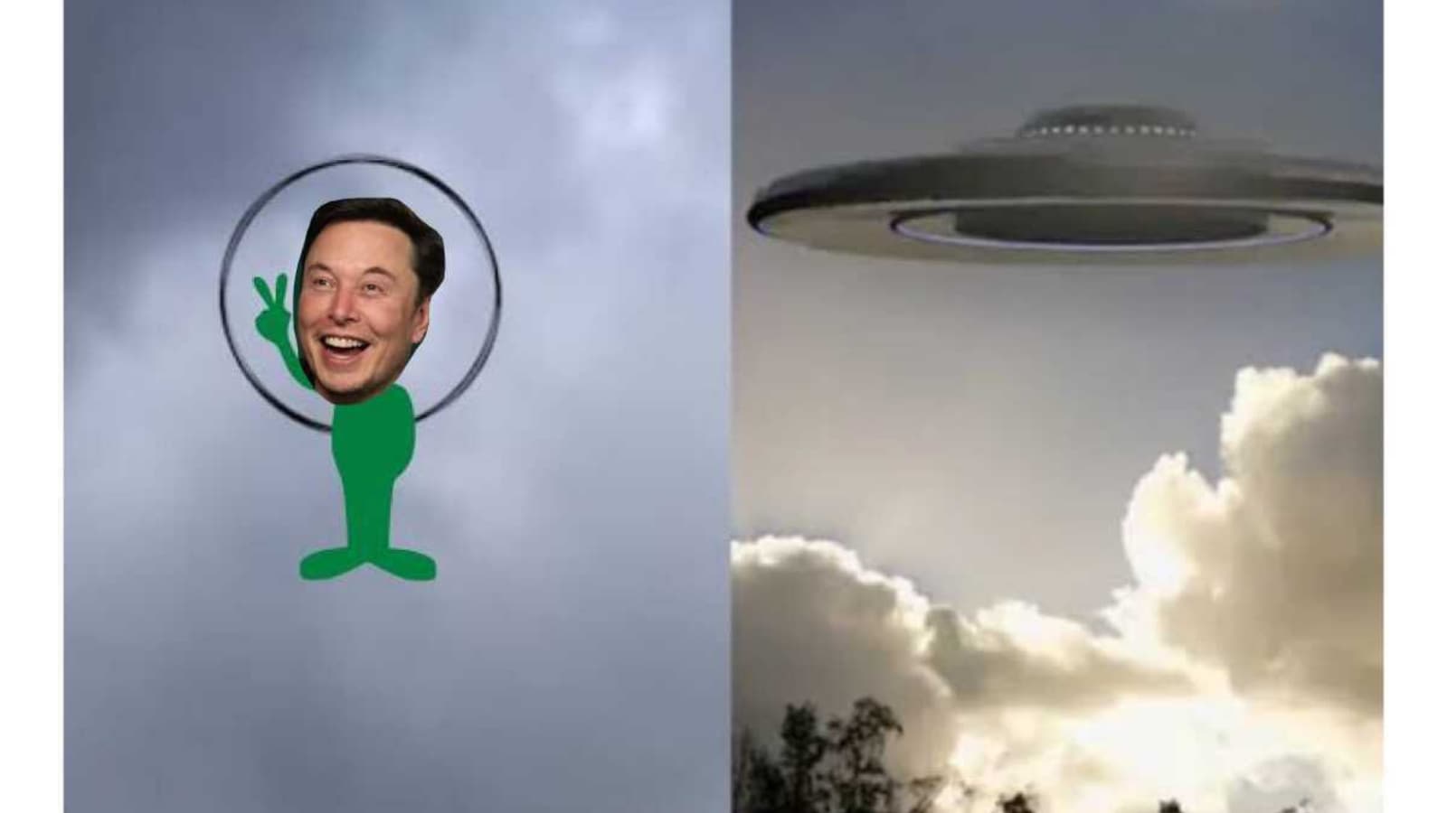 Elon Musk Confirms He's, In fact, an Alien. Space Explorations Can Come ...