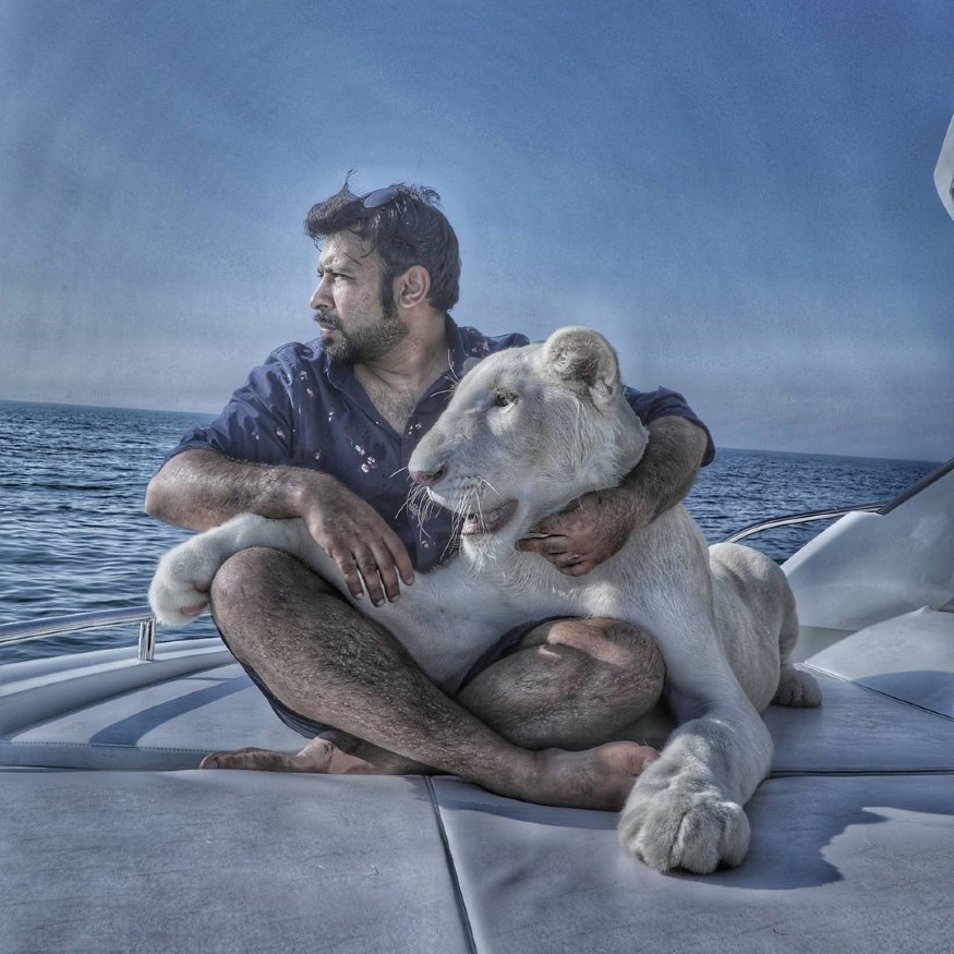 Lion to Alligator: People Have the Strangest Pets You'll Ever See ...