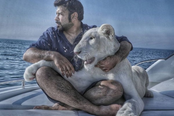 Lion News: Latest Lion News and Updates at News18