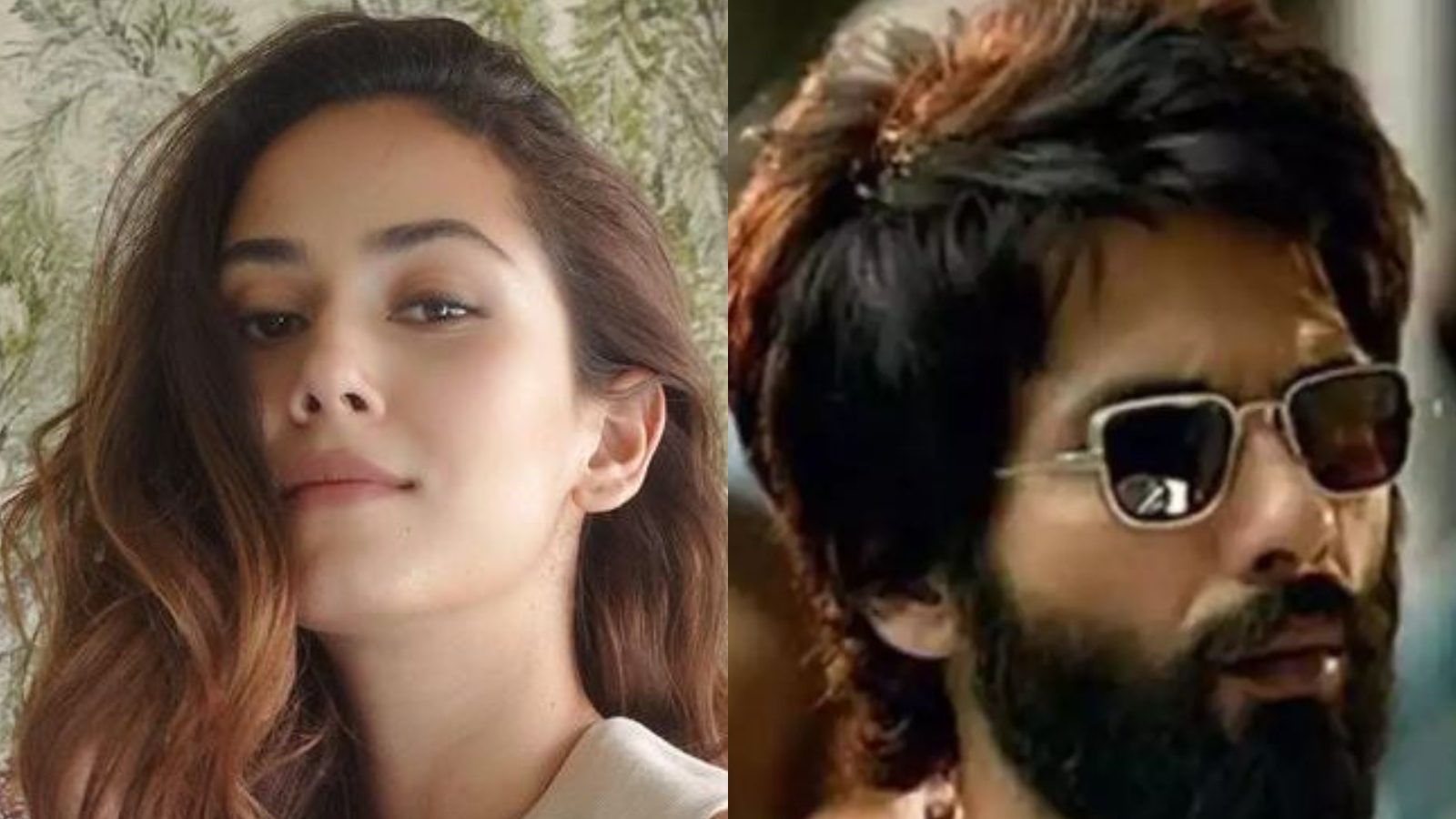 Mira Rajput Has an Amazing Advice on How to Calm Shahid Kapoor's Kabir ...