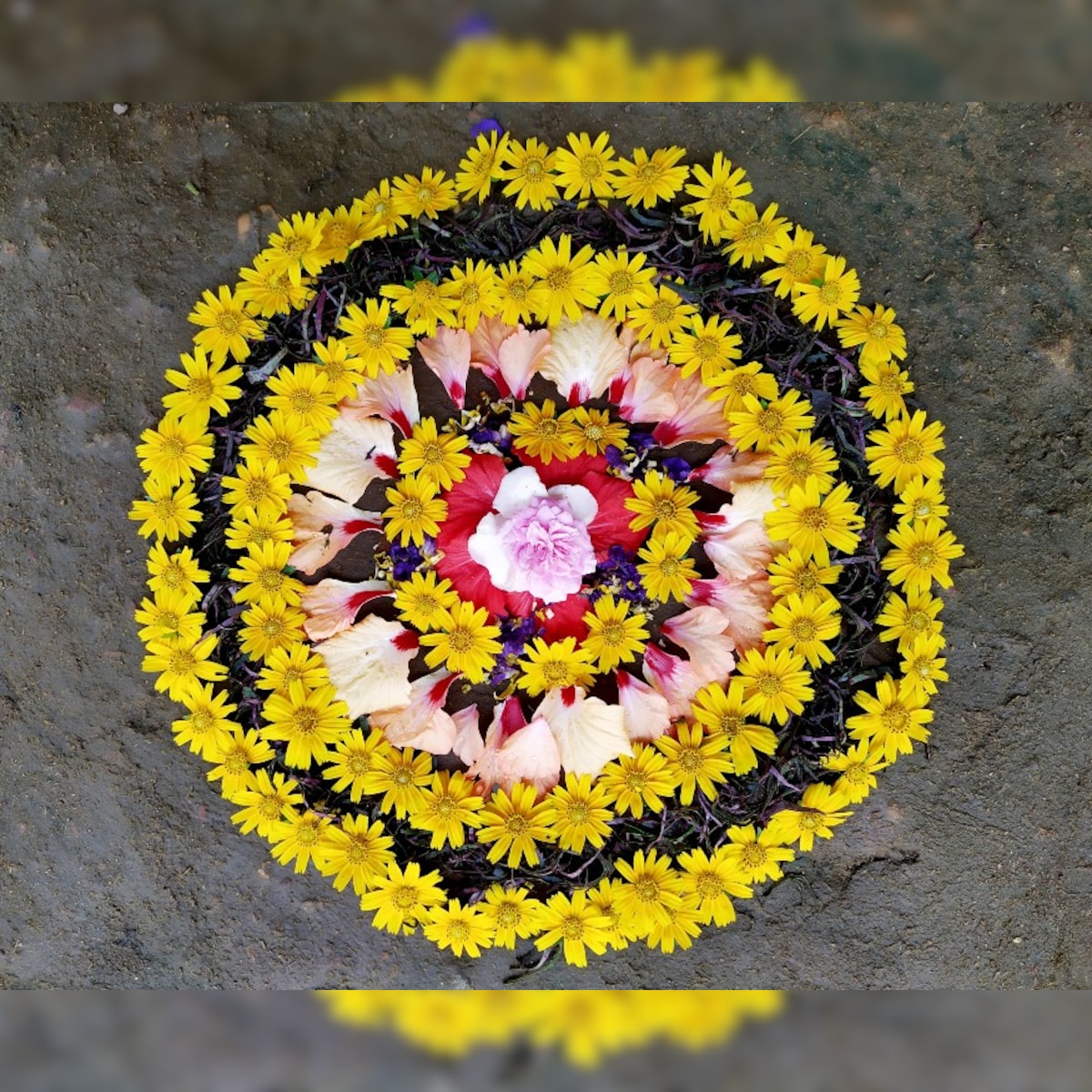 Simple Flower Rangoli Designs Onam | Best Flower Site