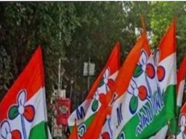 Goa Assembly Polls: TMC Announces First List of 11 Names, Rajya Sabha ...