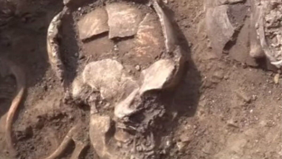 Neolithic Skeletons From 6,000 Year Old Burial Ground Found in ...
