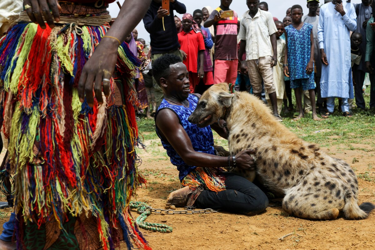 In Photos: Nigeria's Hyena Men Display the Maligned Creatures at ...