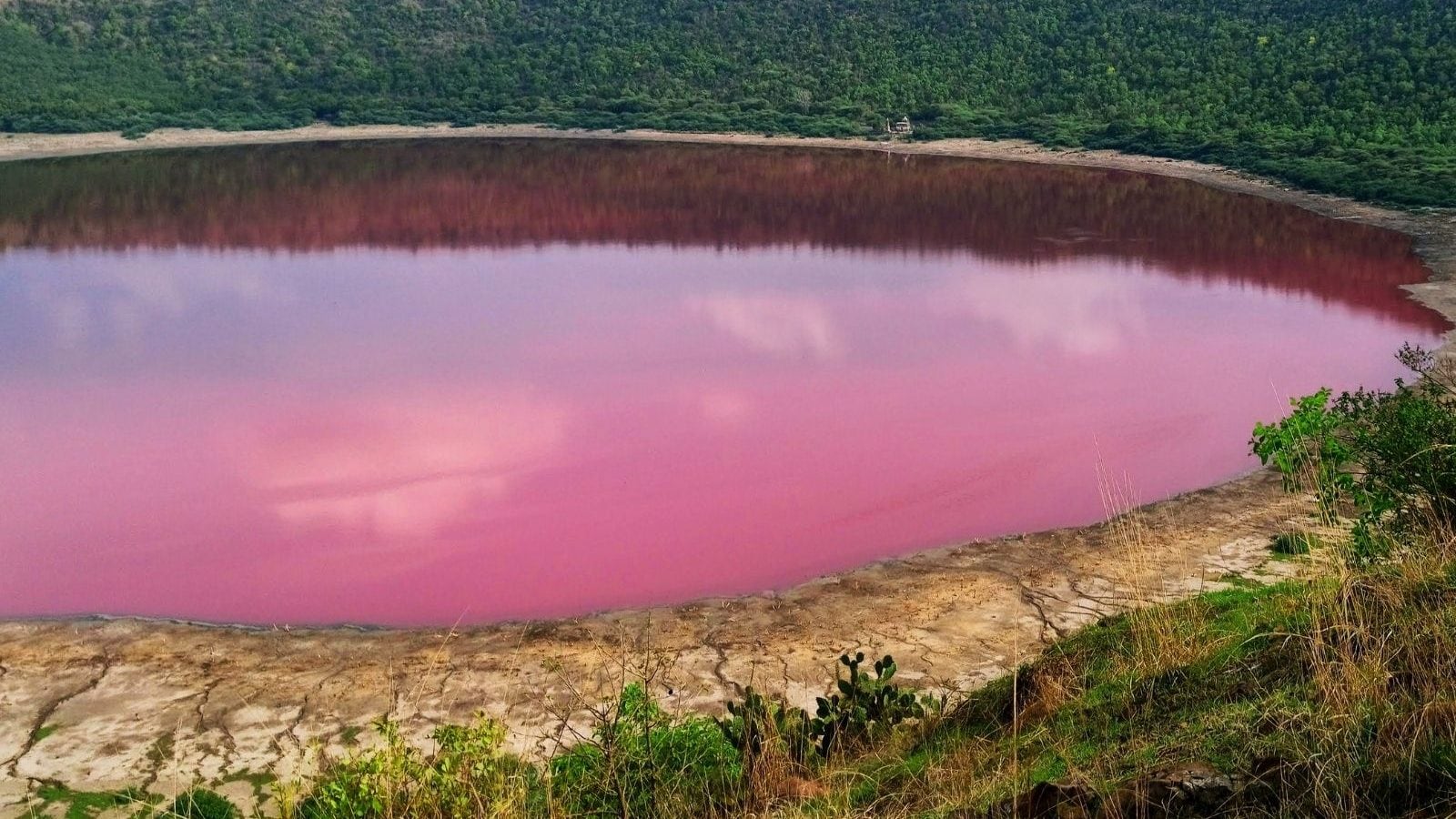 Climate Change or Natural Causes? What Makes Some Lakes to Turn Pink in ...