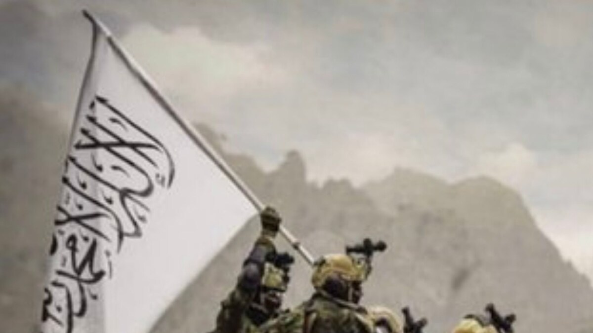 Clad in US Tactical Gear, Taliban 'Mock US' With WWII Photo of Troops ...