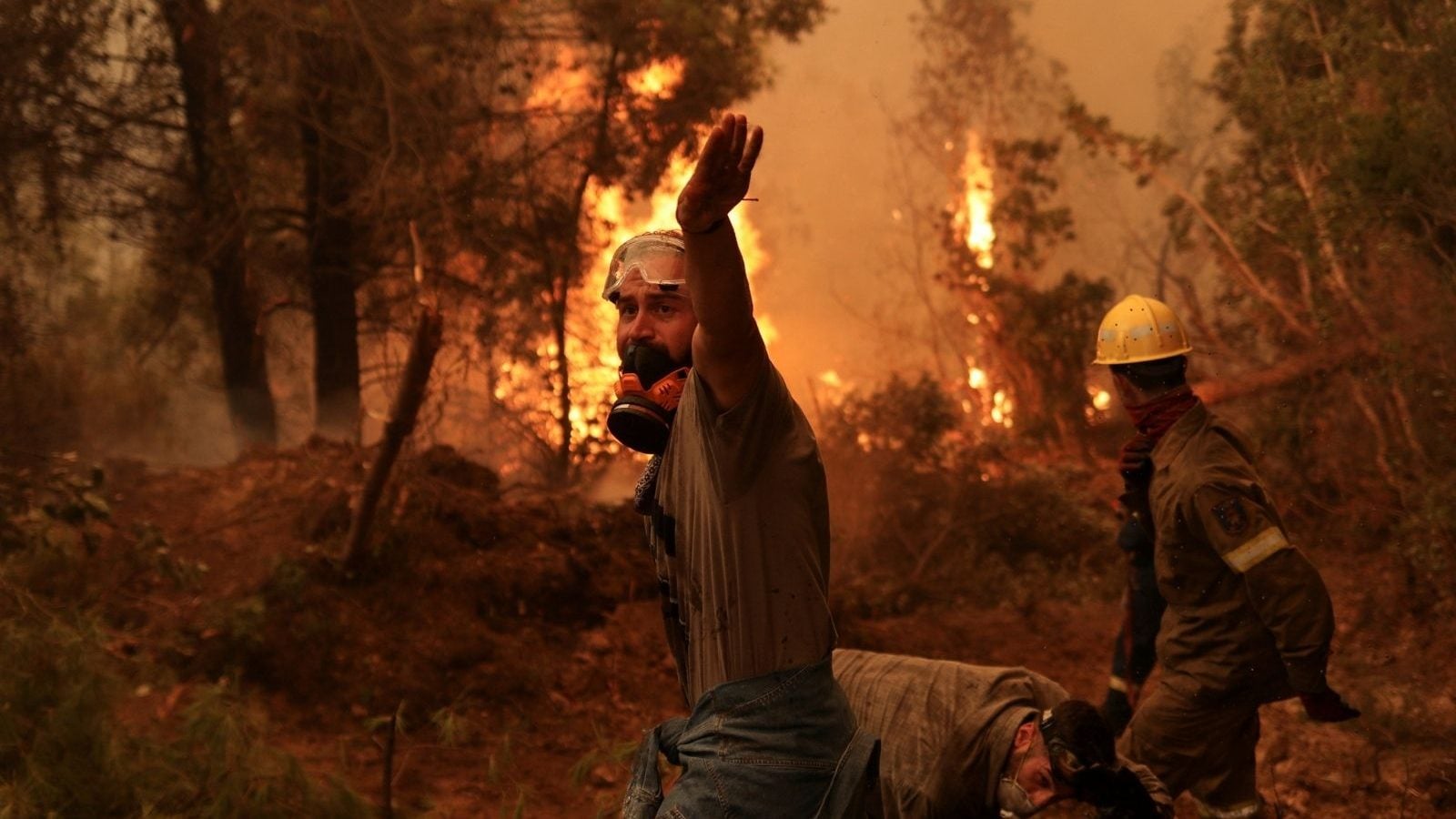 In Pictures | From Greece to US, Devastating Wildfires Rage Across the ...