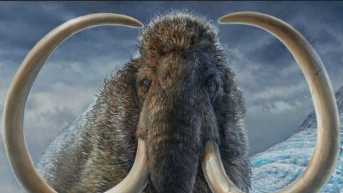 Scientists are Trying to Recreate Giant Woolly Mammoths Who Lived ...