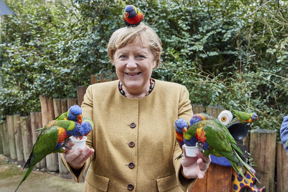 Angela Merkel Got Pecked By Parrots In Park And Her Expression Has ...