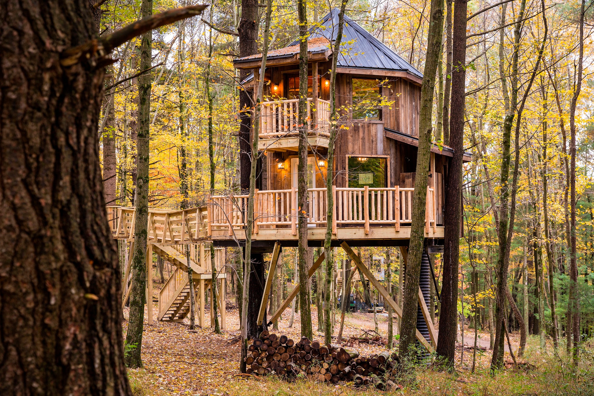 In Photos: Nature Meets Nostalgia as Treehouses Return in Style Amid ...