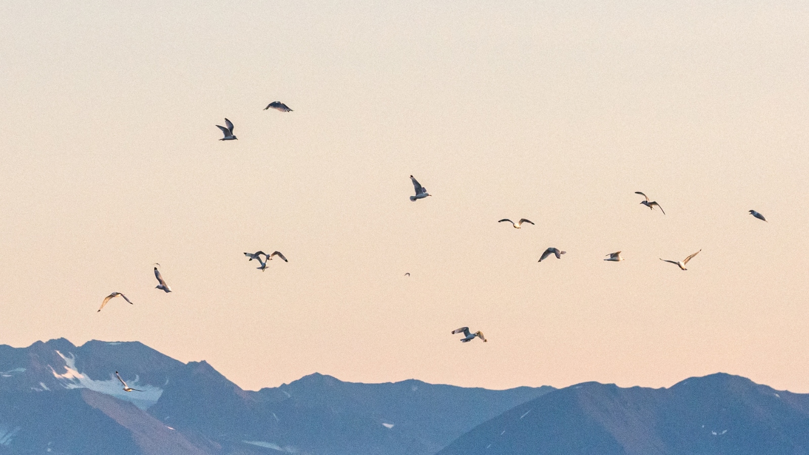 Arctic Summer Sea Ice in 2021 Was 12th Lowest on Record: NASA | Buzz ...