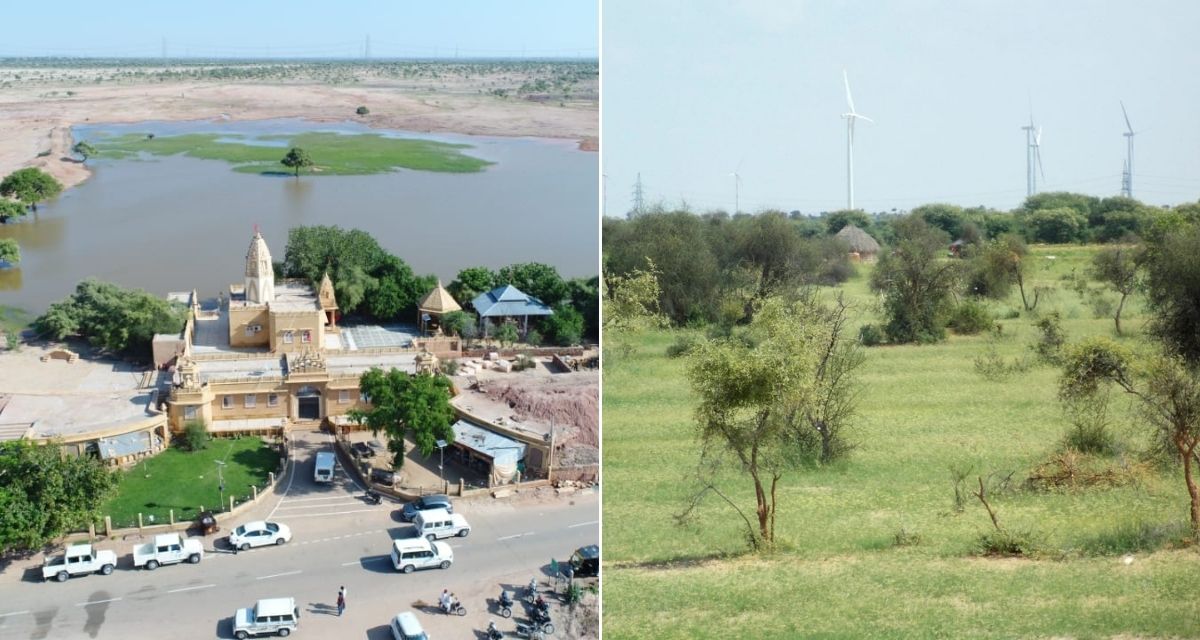 Rajasthan’s Sacred Groves are Under Threat from Rampant Green ...