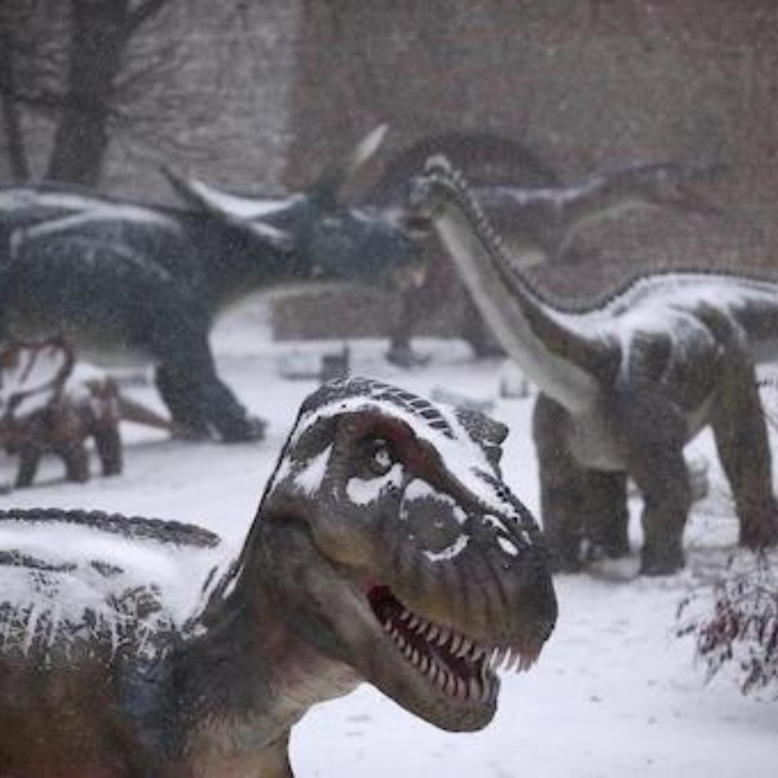 Ulughbegsaurus Species New To Science: [Herpetology • 2021]