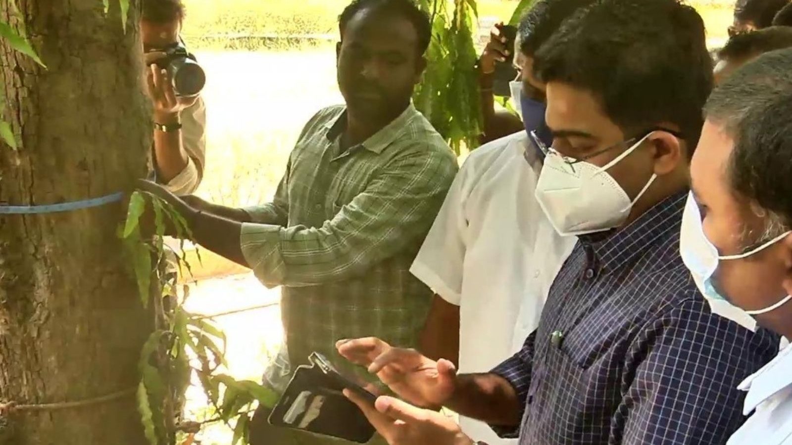 Green Panel to Survey Heritage Trees, Encourage Afforestation in Tamil ...