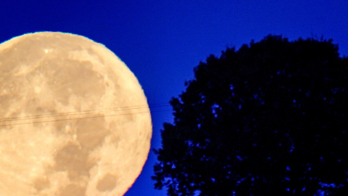 Japan Aims to Put a Person on the Moon by Late 2020s - News18