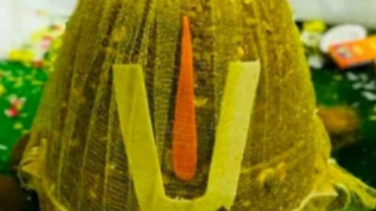 'Not Your Regular Prasad': 5 Kg Ganesh Laddu Auctioned for Rs 41 Lakh ...