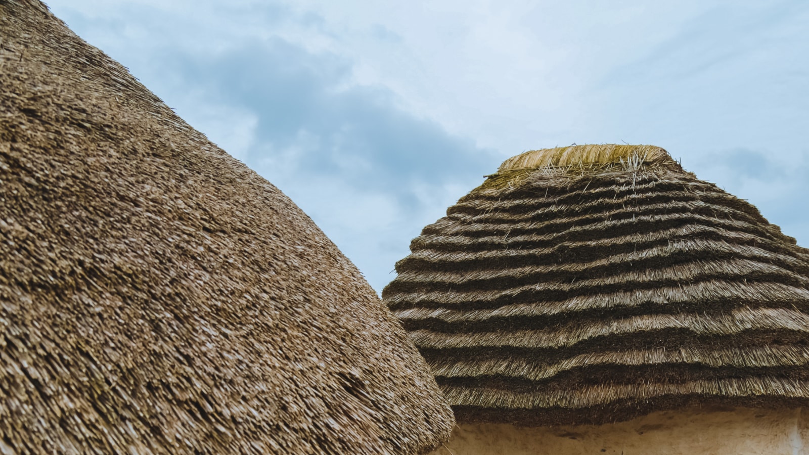 Why Did Neolithic Humans Build Skewed Homes? | Buzz News - News18