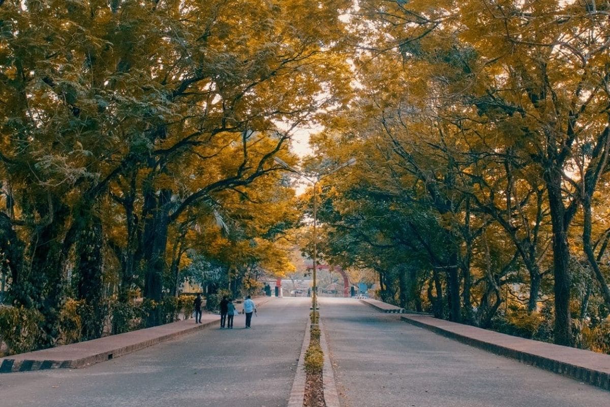 Top NITs and Cut-offs For Top Courses - News18