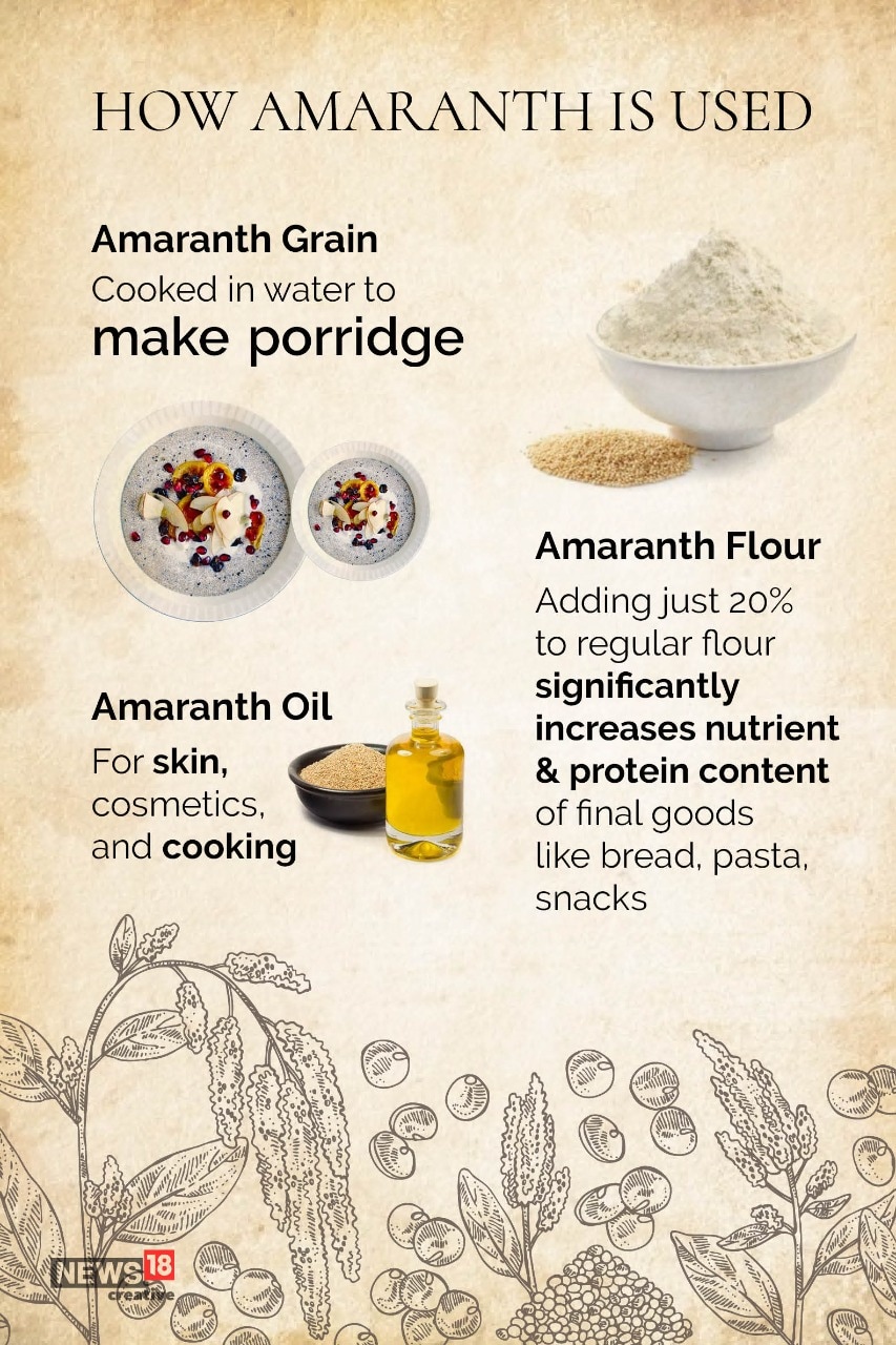 Amaranth Plant: What is it And Reason Behind its Rising Popularity ...