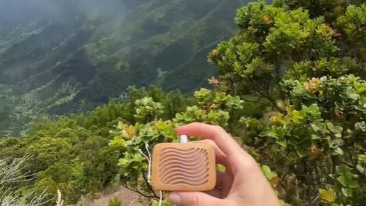 It's 2021 and You Can Now Listen to Music Made By Plants - News18