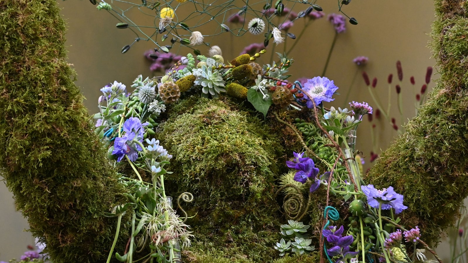 In Photos: RHS Chelsea Flower Show Features Floral Installations ...
