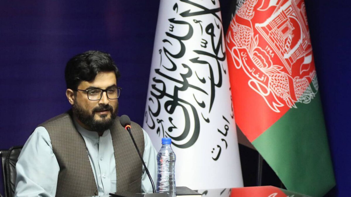 Afghanistan Cricket Board Sacks Hamid Shinwari, Appoints Naseeb Khan as ...