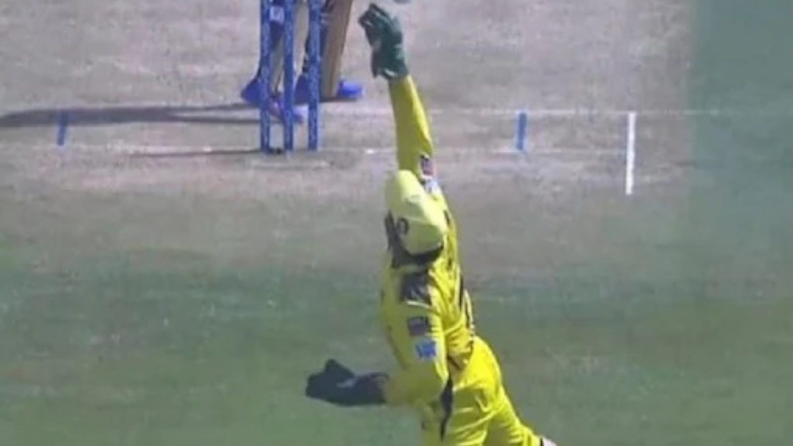 IPL 2021: MS Dhoni’s Acrobatic Catch Goes in Vain as Rahul Tripathi ...