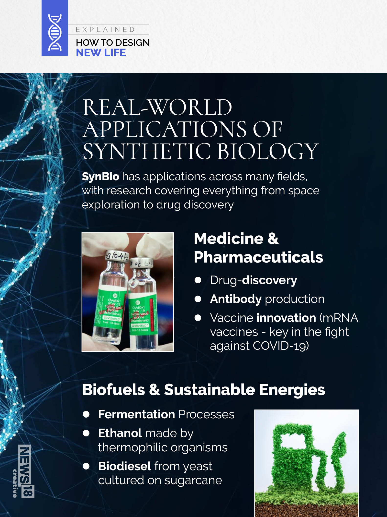 An Introduction to Synthetic Biology Research and How It Works; See ...