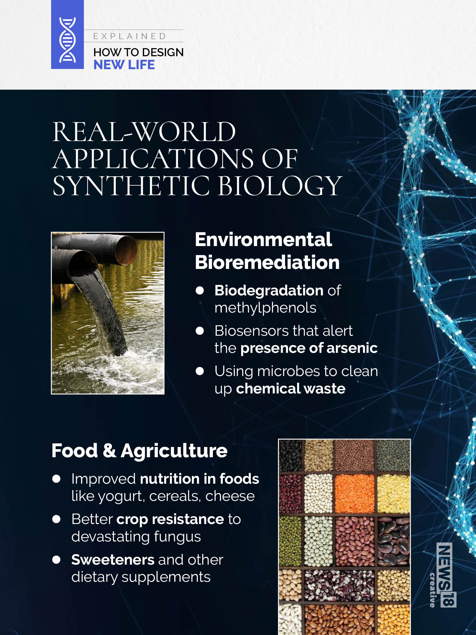 An Introduction to Synthetic Biology Research and How It Works; See ...