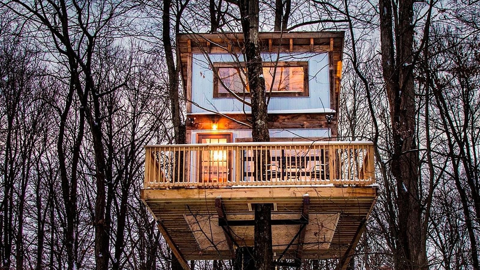 In Photos: Nature Meets Nostalgia as Treehouses Return in Style Amid ...