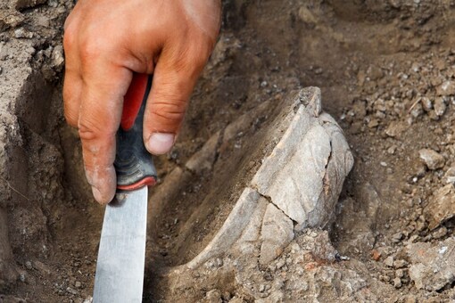 Archaeologists Discover Remains of 10,000-year-old Mesolithic ...