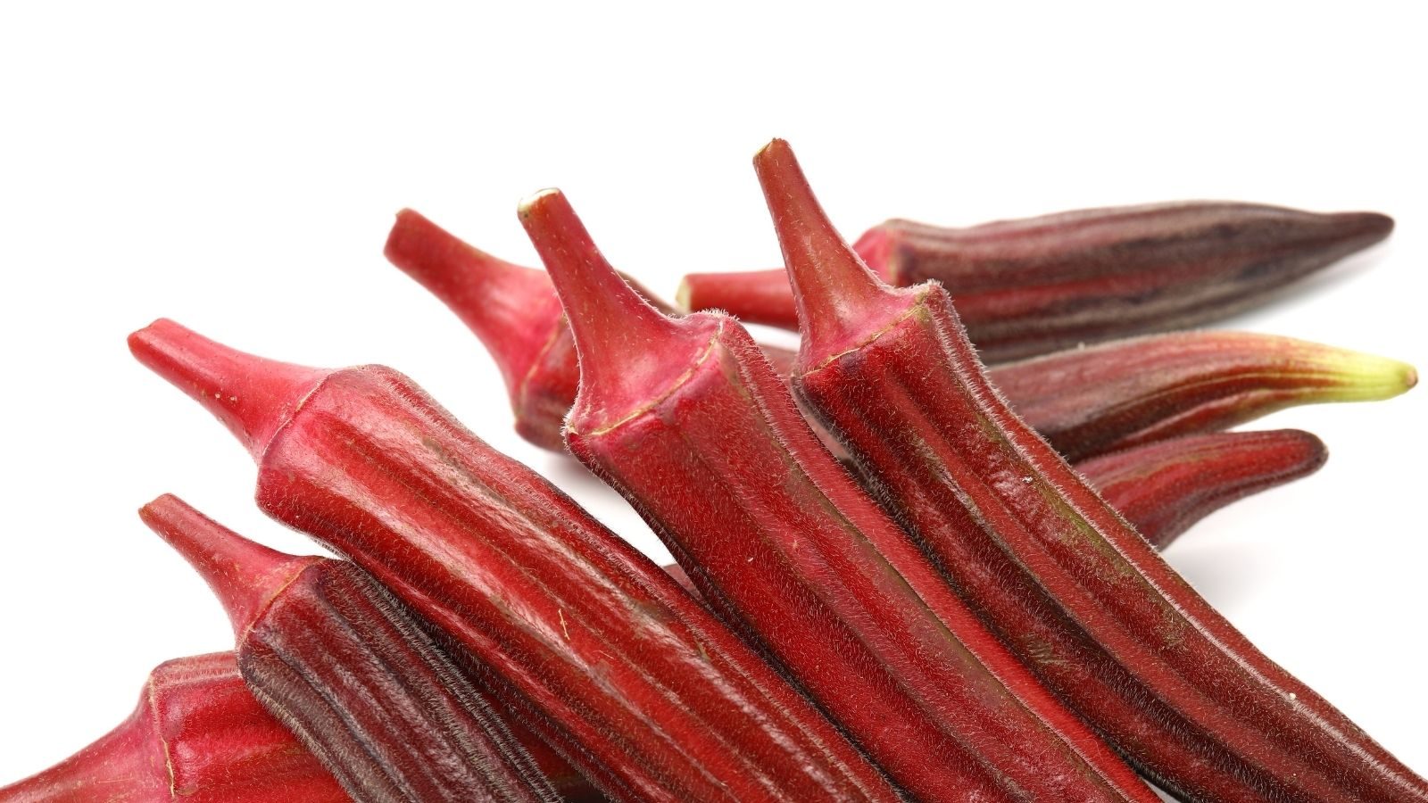 What's Special About The Red Ladyfinger That A Madhya Pradesh Farmer Is ...