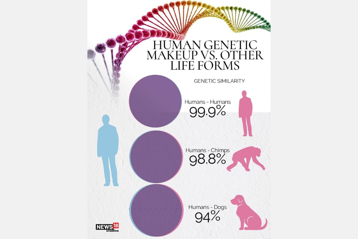 In Photos: How Genetically Similar Humans are to Other Life Forms - News18