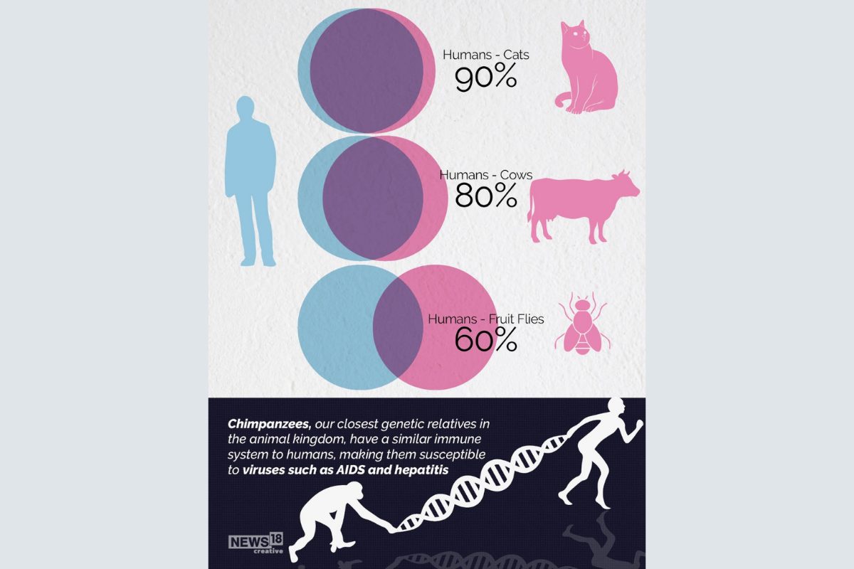 In Photos: How Genetically Similar Humans are to Other Life Forms - News18