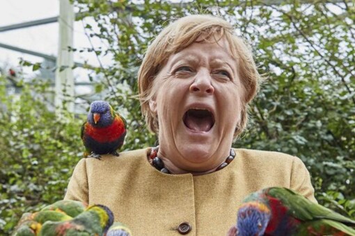 Angela Merkel Got Pecked By Parrots In Park And Her Expression Has ...