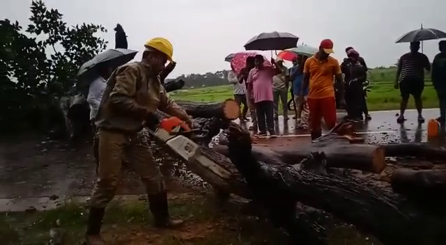 Heavy Rains in Andhra's Vizag, People Resume Normal Life in Srikakulam ...