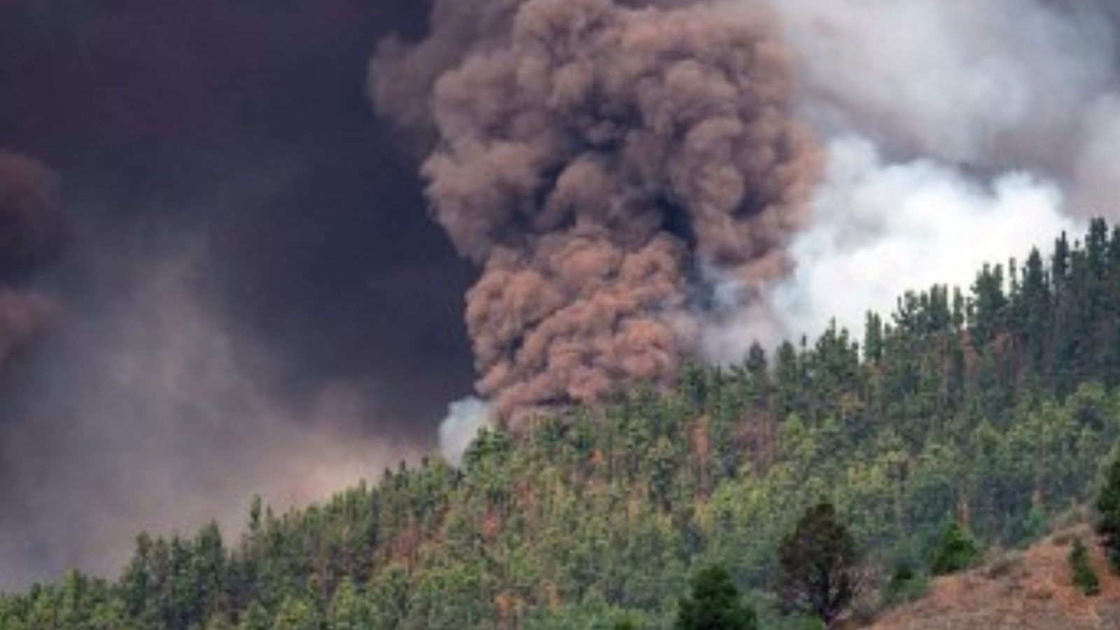 Volcano Erupts on Spain’s Canary Islands After Days of Seismic Activity ...