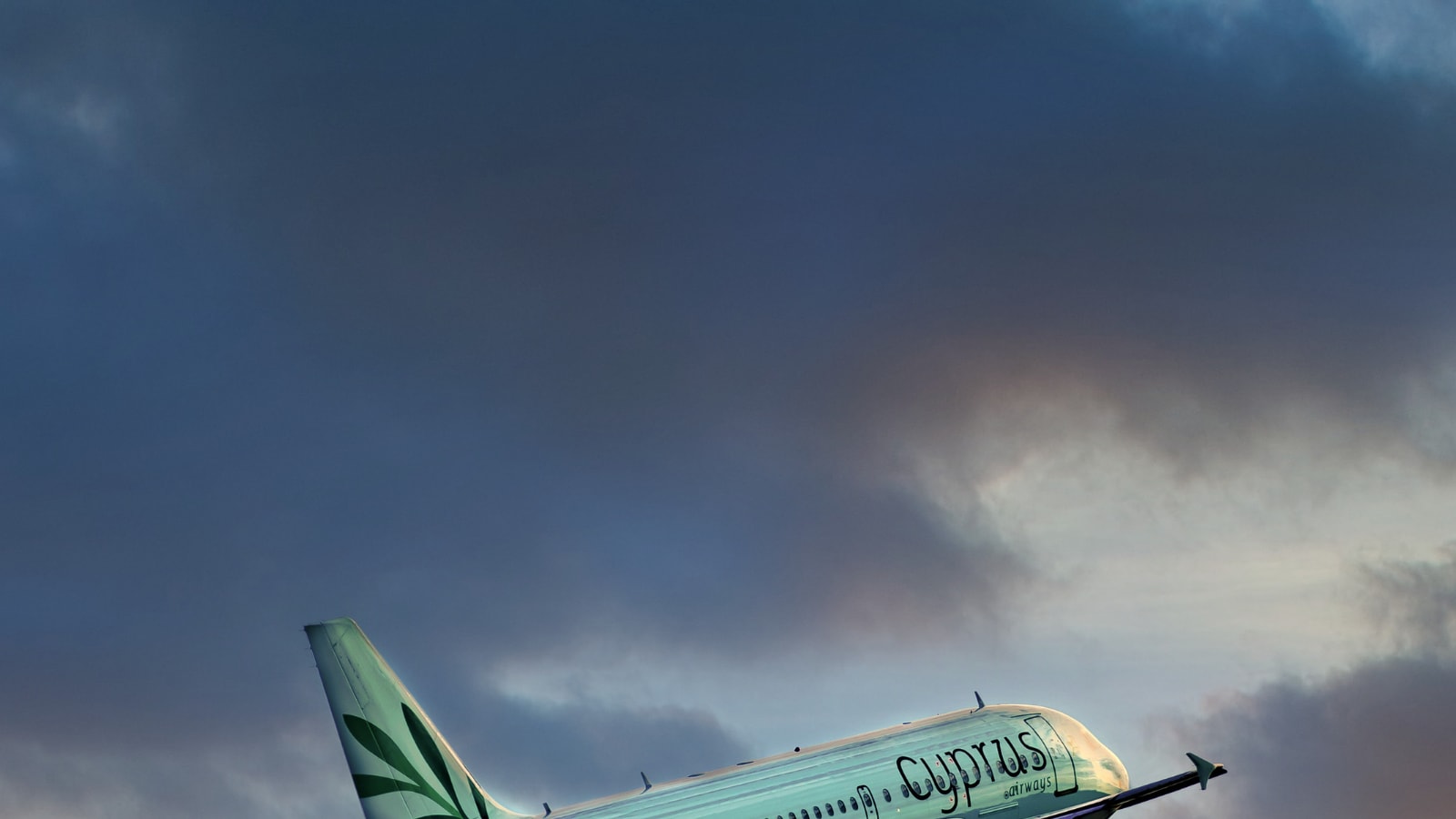 Flying Poop That Came Crashing Down on Windsor Man's Garden Dropped by ...