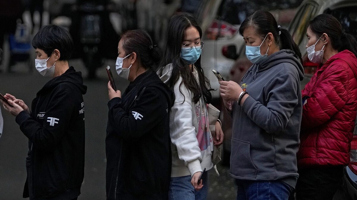 Video of Health Workers Killing Corgi With Crowbar After Owners ...