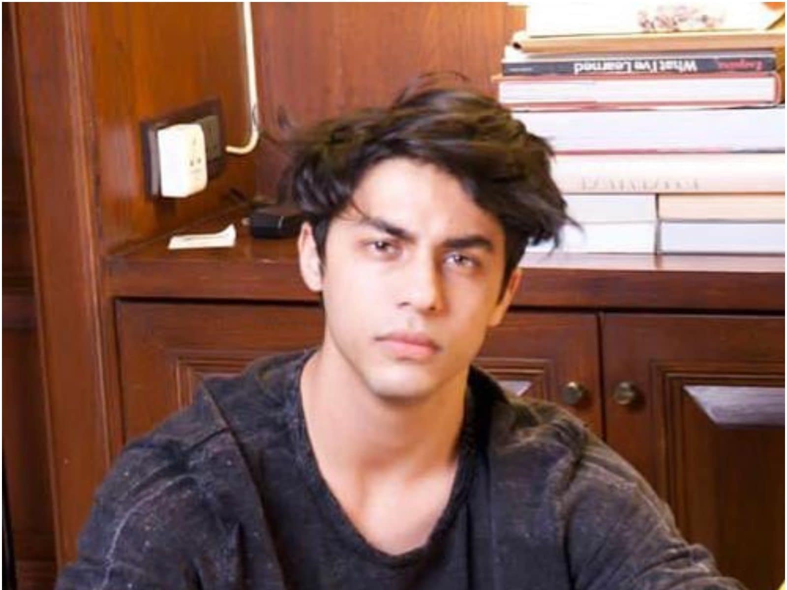 Aryan Khan to launch luxury vodka brand in India 1