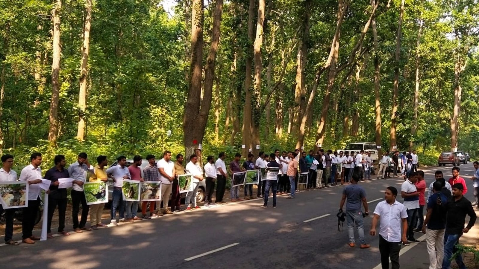 Mammoth Protest in Assam: Hundreds Resist Plan to Cut 6,000 Trees, Say ...